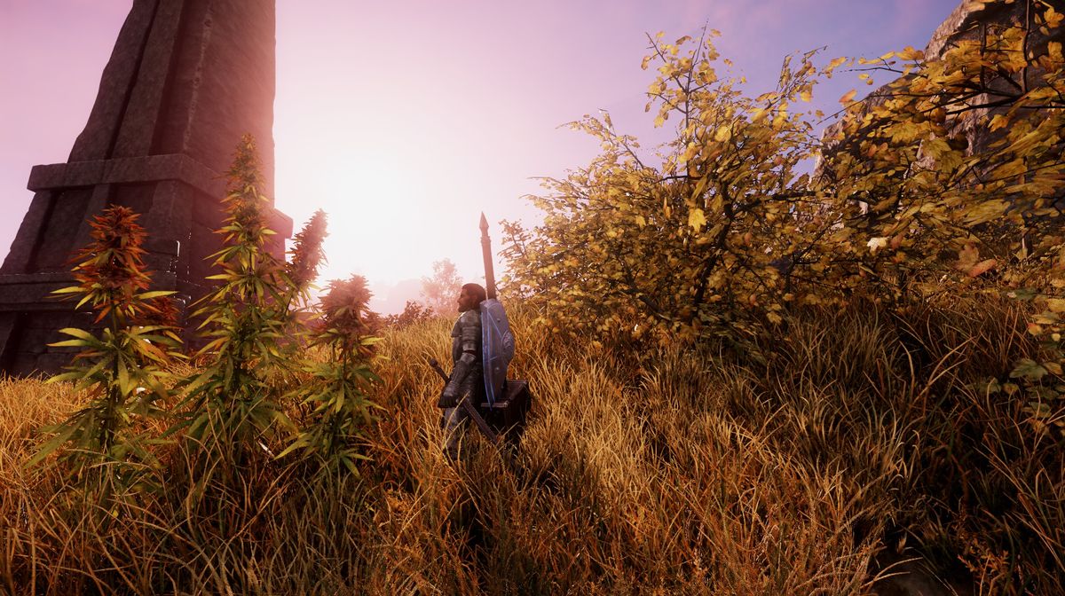 Best farming locations for hemp and fiber in New World