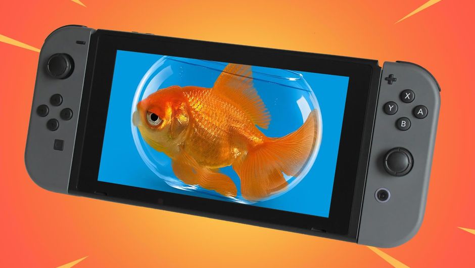Nintendo talks cross-play, thinks the world's a goldfish
