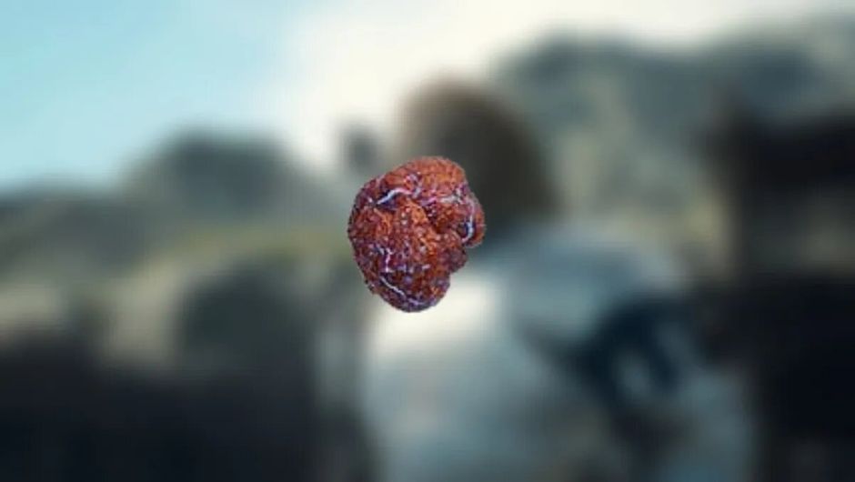 Dragon's Dogma 2: Eternal Wakestone explained