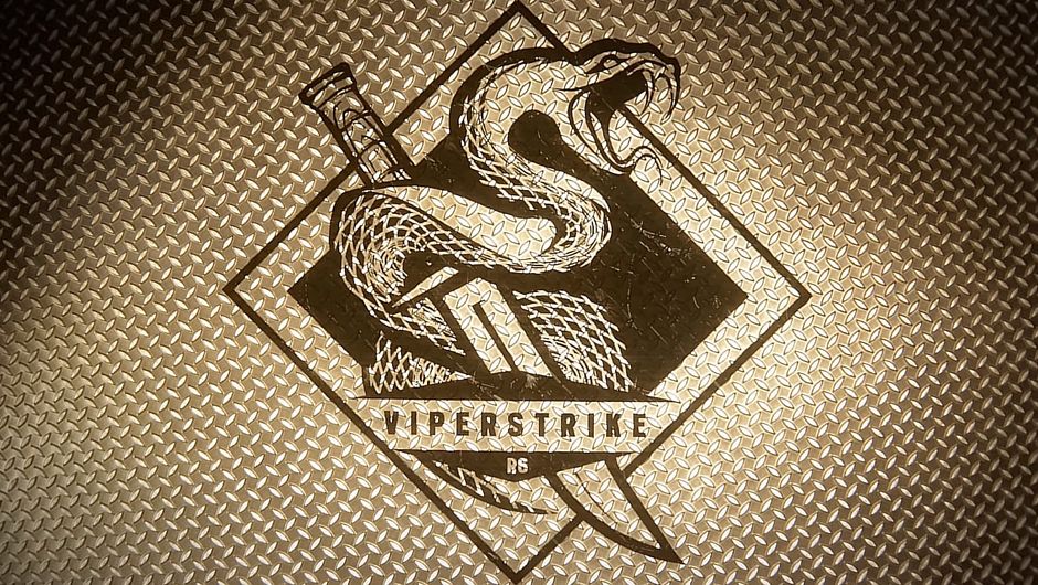 All operators who are part of Rainbow Six Siege's Viperstrike squad