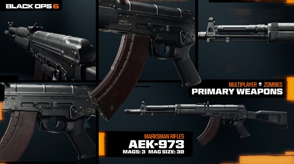 Call of Duty: Black Op 6 - Best AEK-973 Loadout