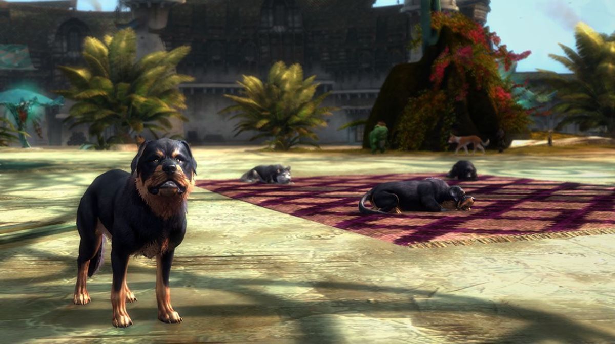 Guild Wars 2 gets invaded by dogs right before April Fools